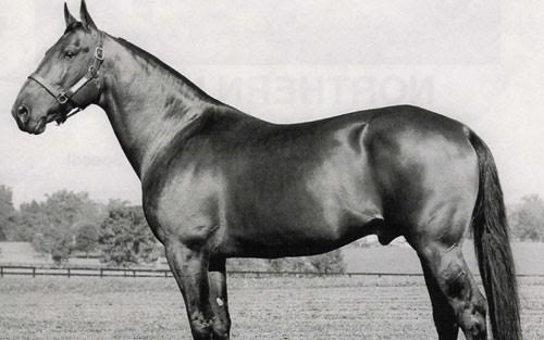 Bret Hanover Hall Of Fame No 5. - Harnessbred.com