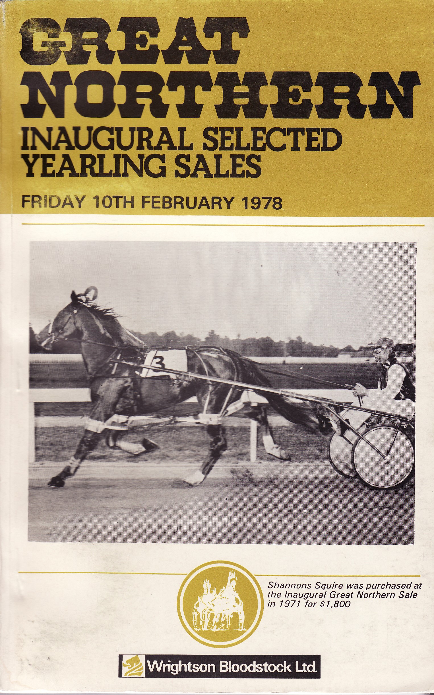 NEW ZEALAND STANDARDBRED SALES – PART ONE - Harnessbred.com